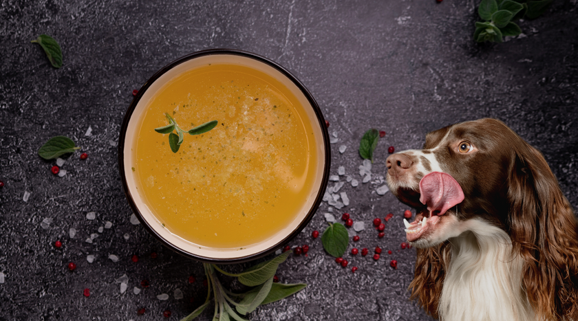 Ultimate Bone Broth For Dogs Guide – Kayode