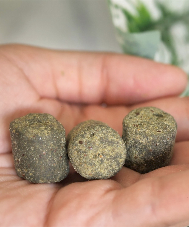 Kayode | Functional Modern Dog Supplements