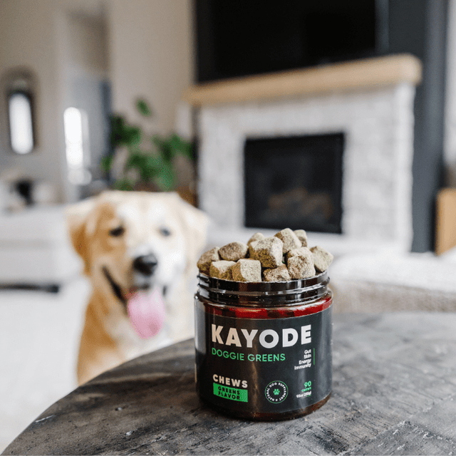 Kayode | Functional Modern Dog Supplements