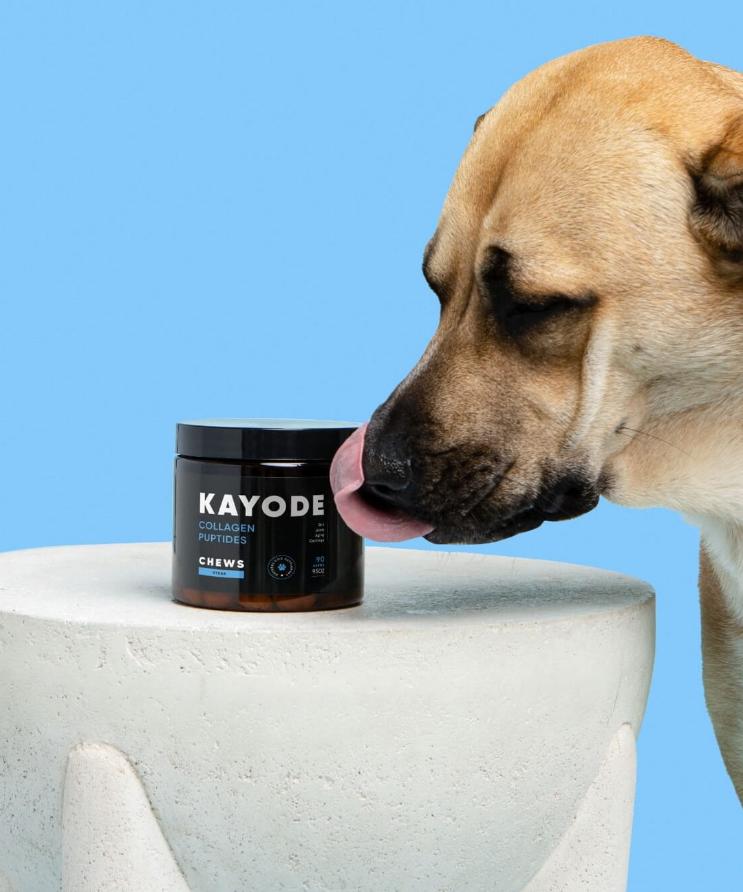 Kayode | Functional Modern Dog Supplements