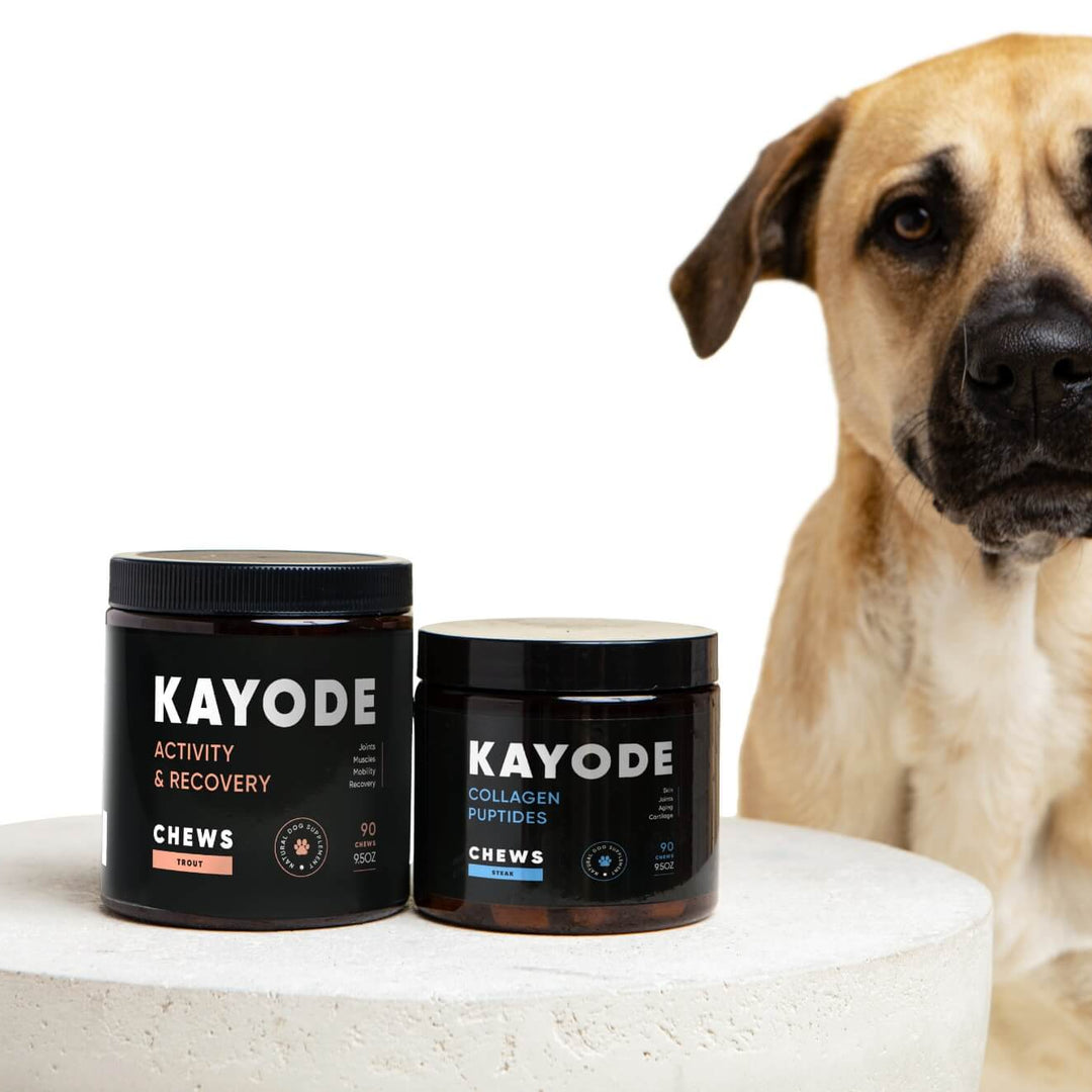 Kayode | Functional Modern Dog Supplements