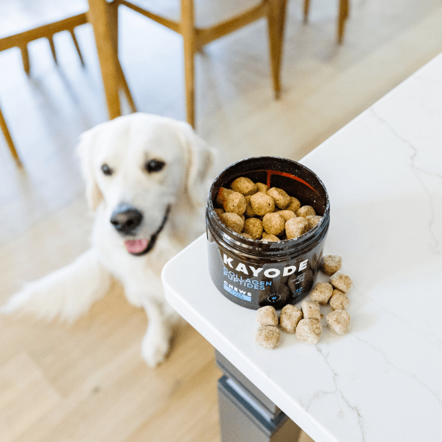 Kayode | Functional Modern Dog Supplements