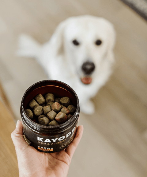 Kayode | Functional Modern Dog Supplements