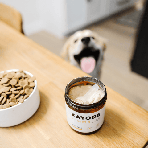Kayode | Functional Modern Dog Supplements