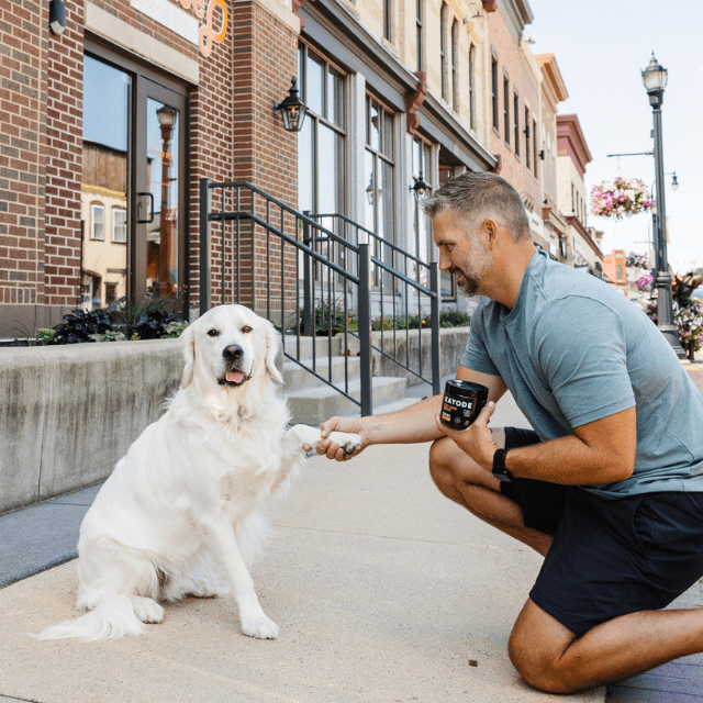 Kayode | Functional Modern Dog Supplements