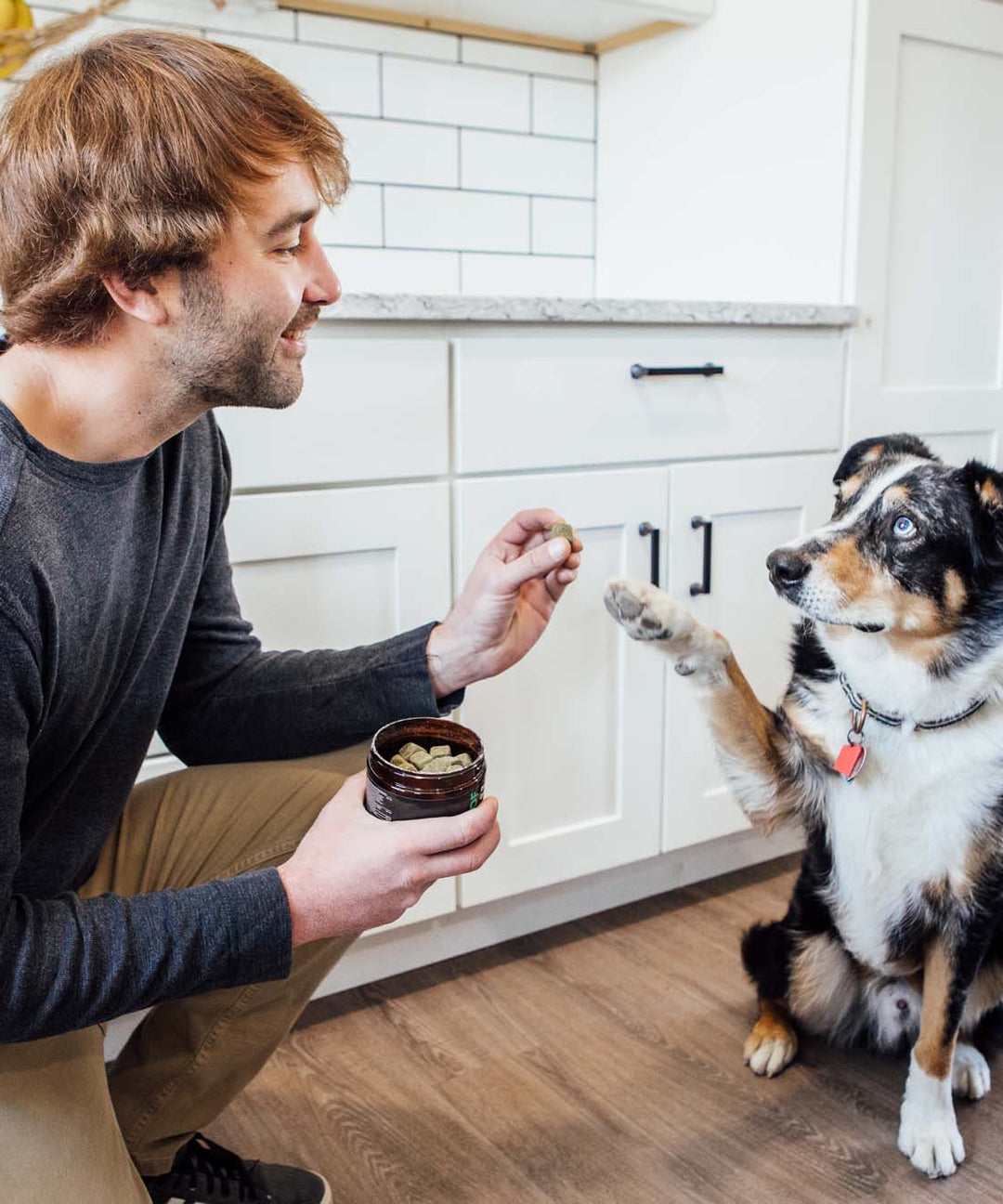 Kayode | Functional Modern Dog Supplements