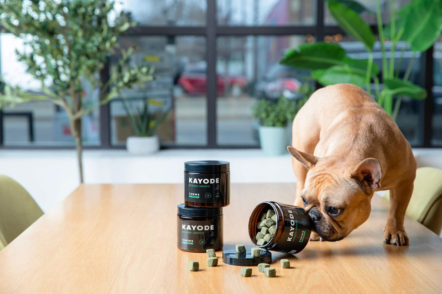 Kayode | Functional Modern Dog Supplements