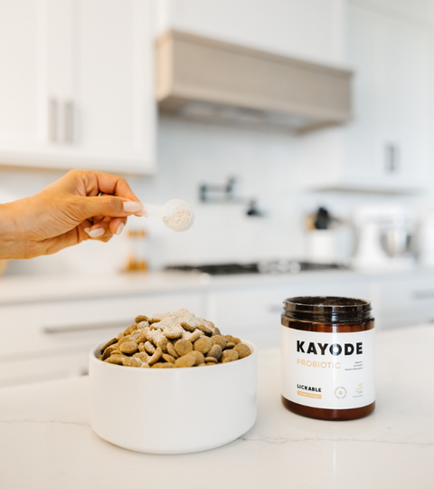 Kayode | Functional Modern Dog Supplements