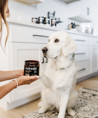 Kayode | Functional Modern Dog Supplements