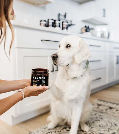 Kayode | Functional Modern Dog Supplements