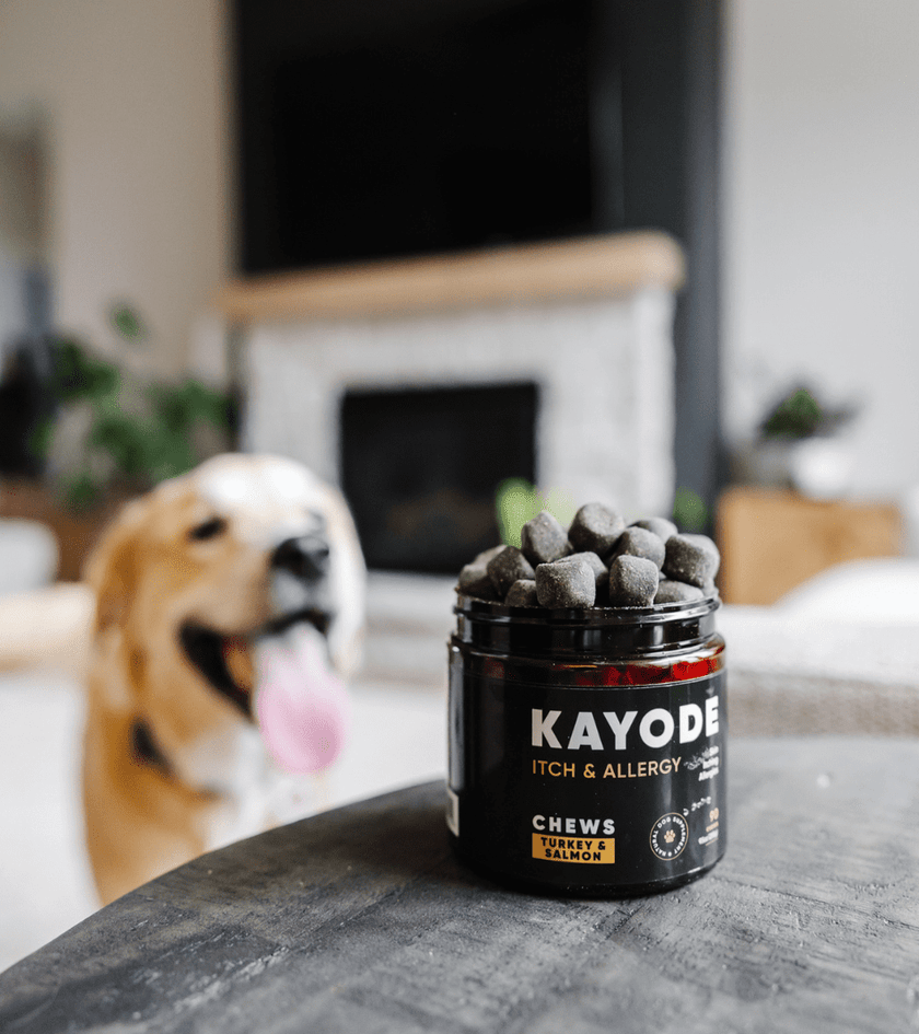 Kayode | Functional Modern Dog Supplements