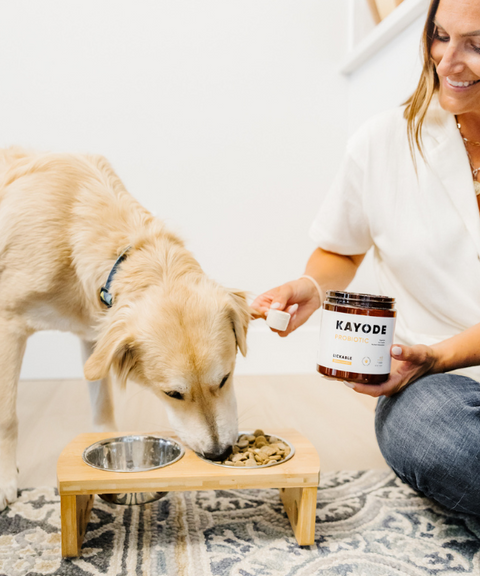 Kayode | Functional Modern Dog Supplements